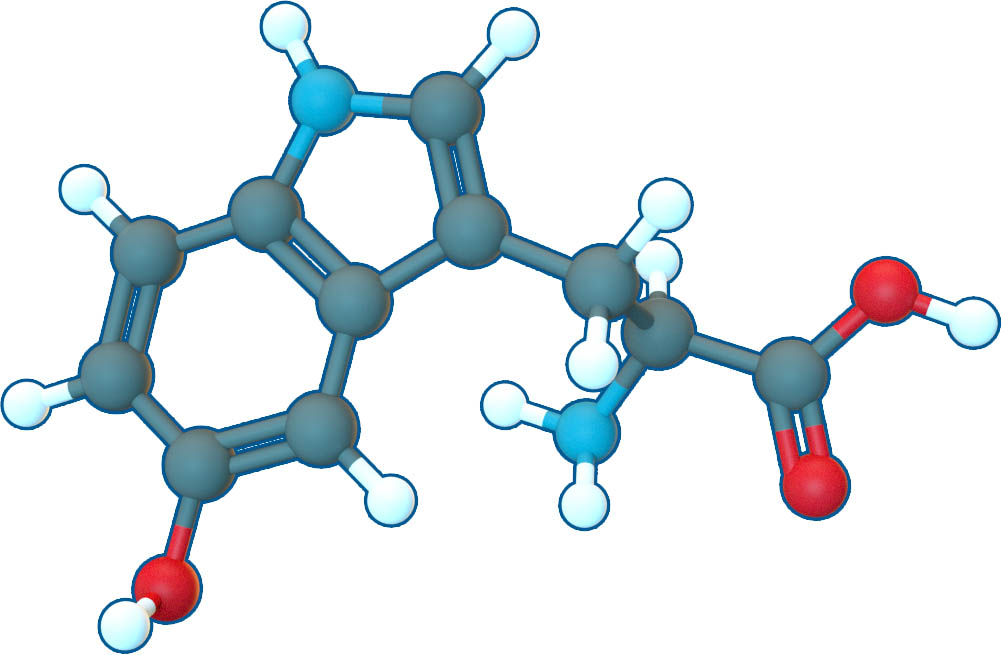 5-Hydroxytryptophan | C11H12N2O3 | Supreme Pharmatech
