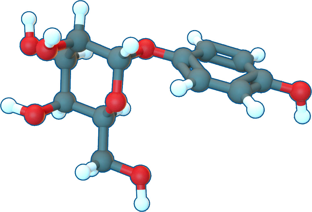 Arbutin | C12H16O7 | Supreme Pharmatech