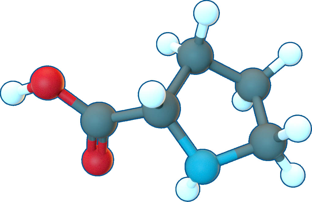 L-Proline | C5H9NO2 | Supreme Pharmatech