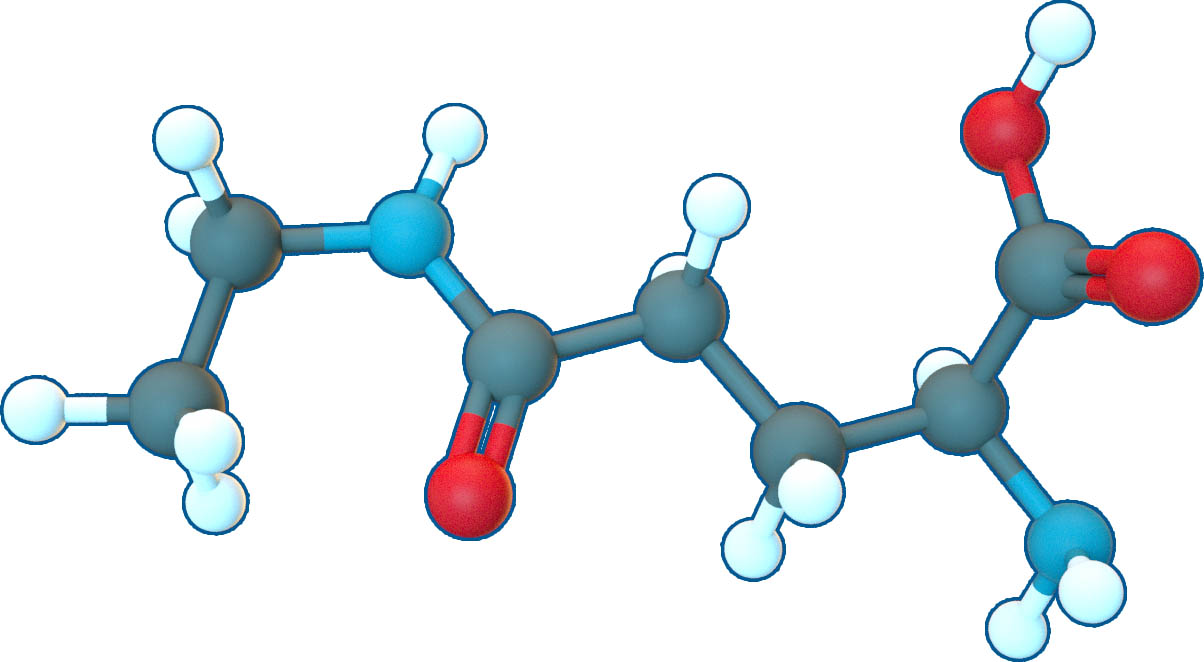 L-Theanine | C7H14N2O3 | Supreme Pharmatech